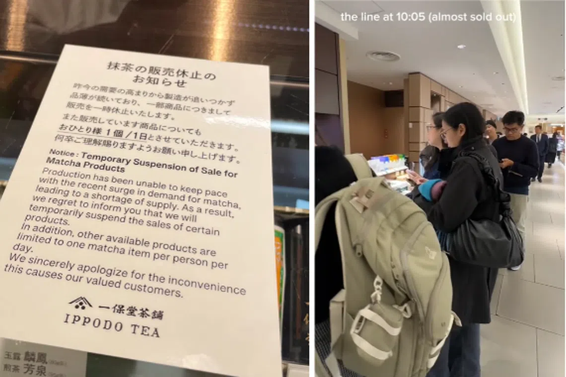 Matcha shortage in Japan hits some Singapore businesses, enthusiasts ...
