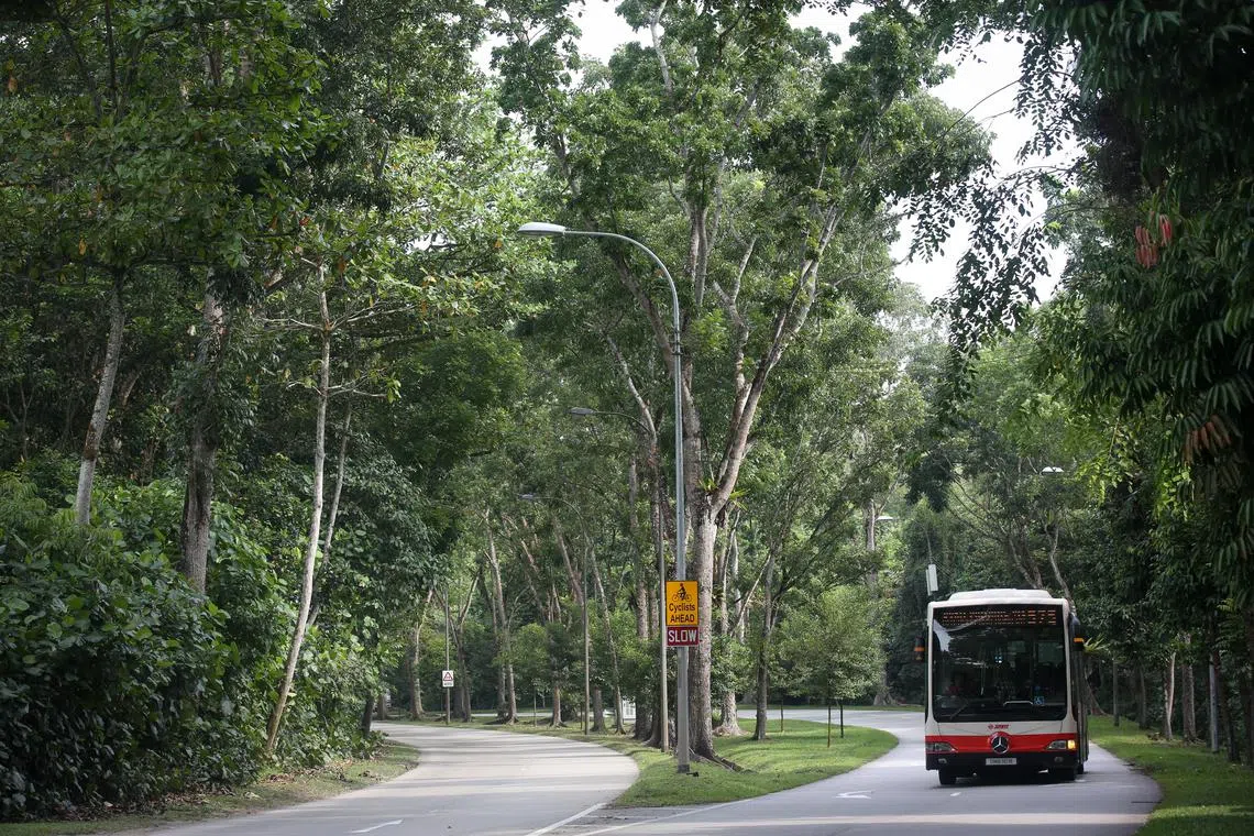 Lim Chu Kang Road opens; expansion of airbase begins | News Minimalist