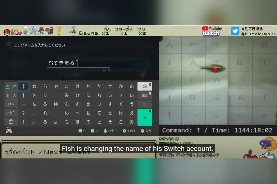 Pet fish in Japan racks up credit card bill on Nintendo Switch | The ...