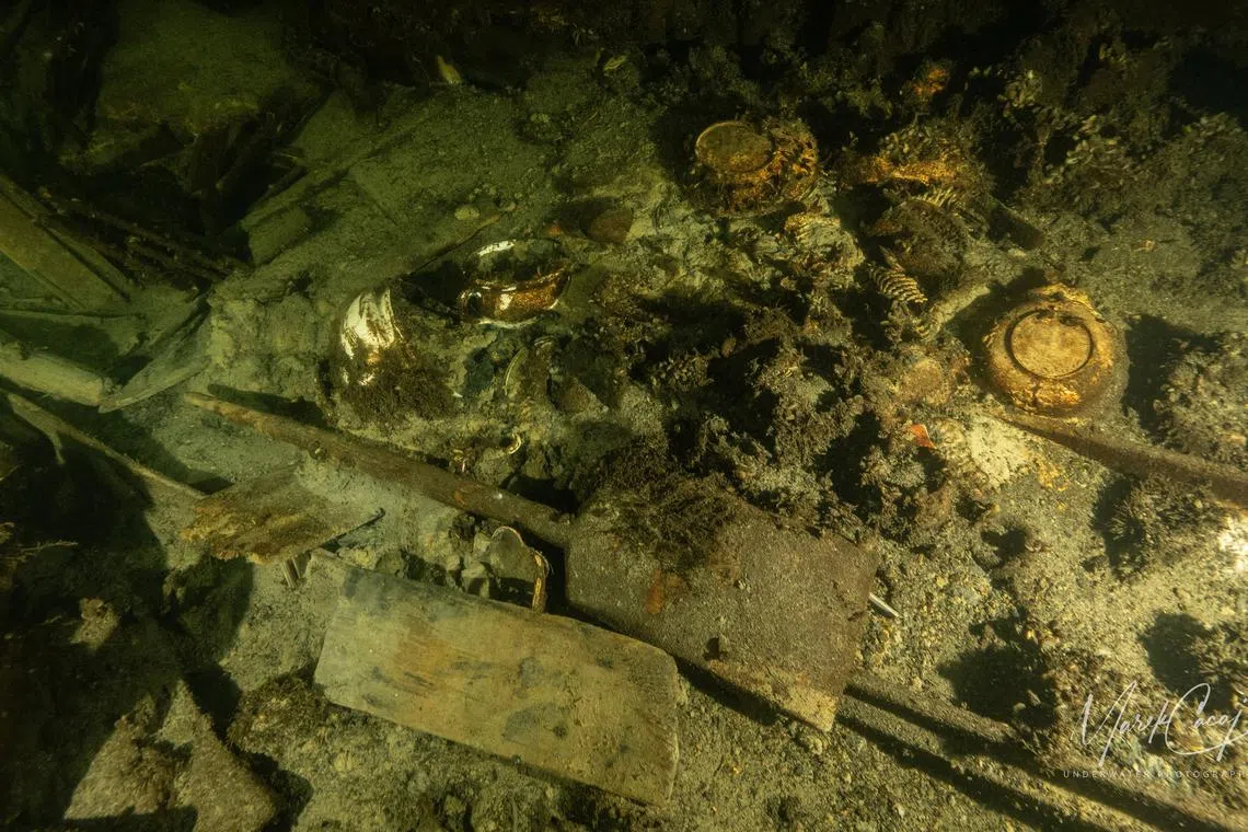 Champagne galore! Shipwreck gives Polish divers something to celebrate ...