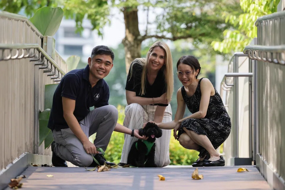 Share a bed with your fur kid? Here’s what you should know about ...