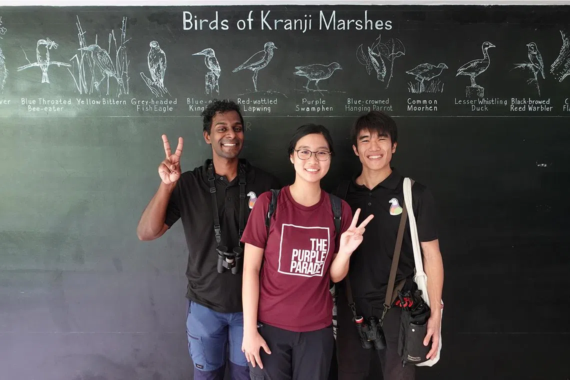 A visit to Kranji Marshes: Rise of invasive birds in Singapore | The ...