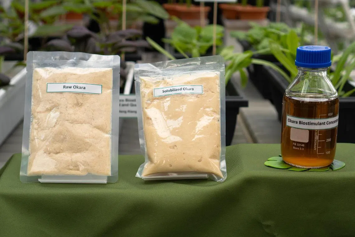 Republic Polytechnic researchers turn soya pulp meant for landfills ...