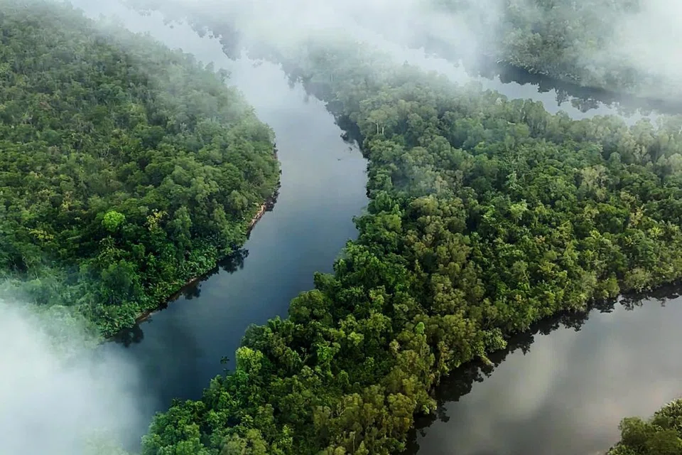 Are finance bros and conservationists finally on the same side? | The ...