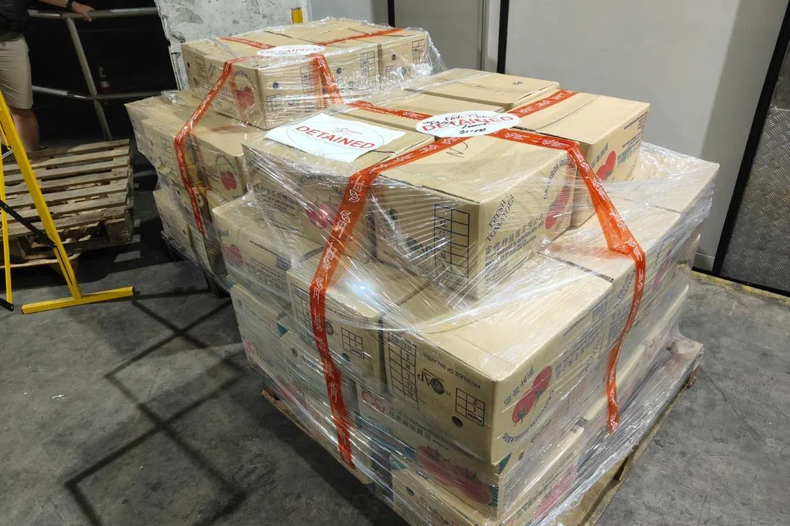 1.5 tonnes of illegally imported vegetables and processed food from ...