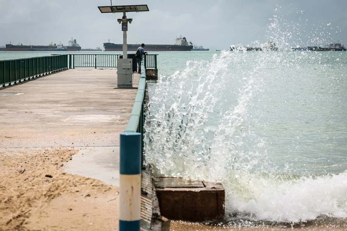 Second monsoon surge from Jan 17 to 19 expected to be less intense: MSS ...