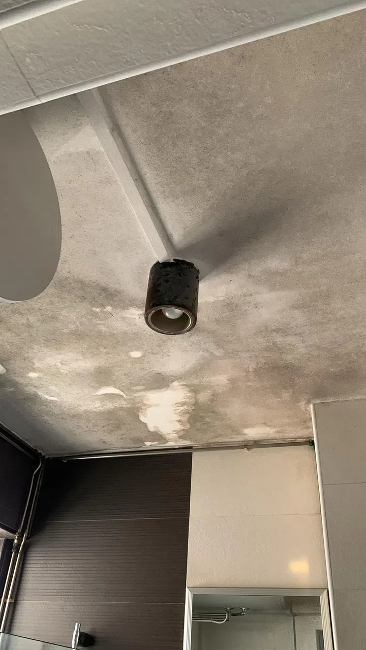 Mould cases on the rise during rainy season | The Straits Times