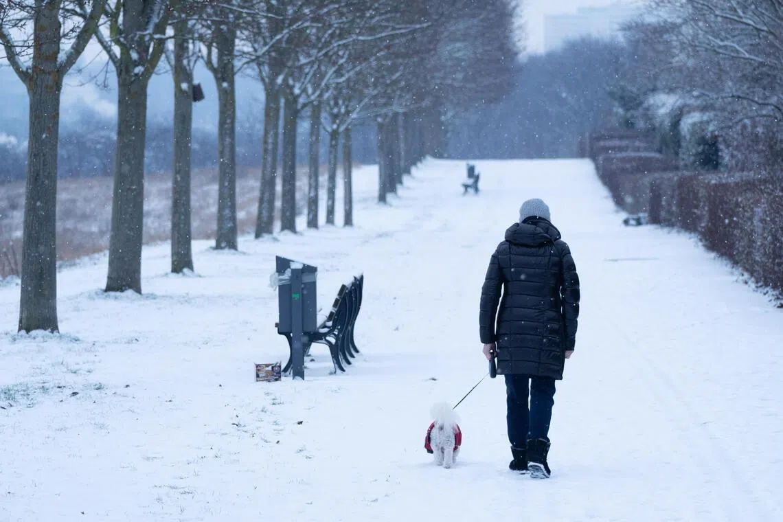 Six dead in weather accidents as cold snap grips Europe | The Straits Times