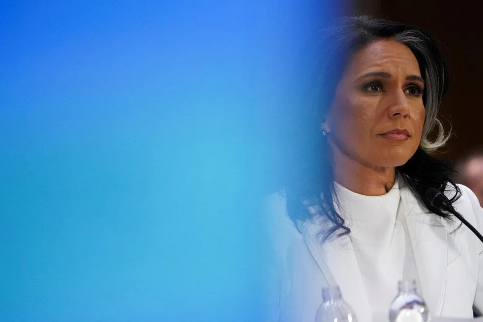 Trump nominee Gabbard heads toward confirmation as intelligence chief ...