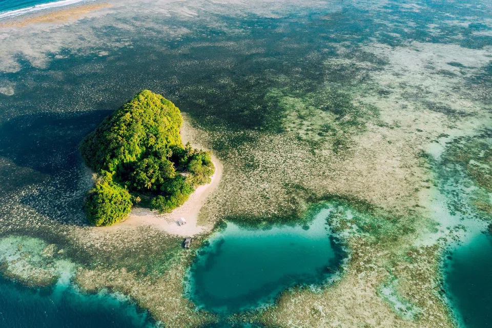 New flight route connecting Singapore and Palau to take off on Nov 23 ...