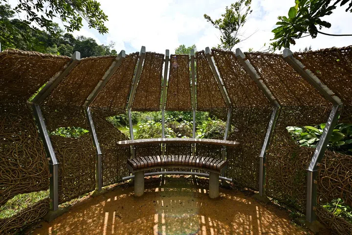 Newly opened Rifle Range Nature Park offers 7km-long trails, rain ...