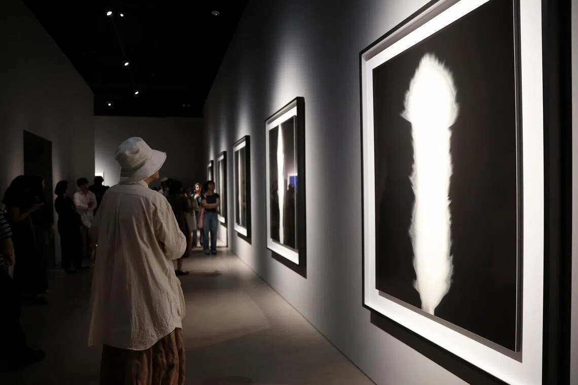 Hiroshi Sugimoto: 5 things to see at SAM | The Straits Times
