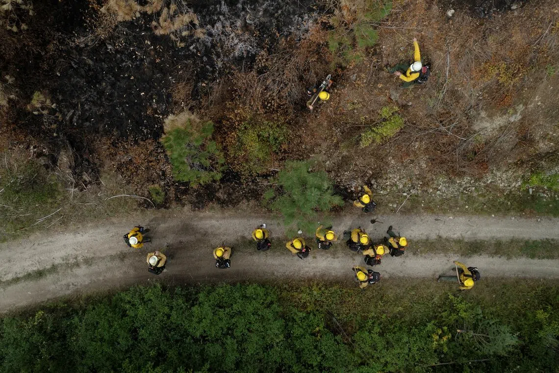 Washington state pioneers program to turn inmates into wildland ...