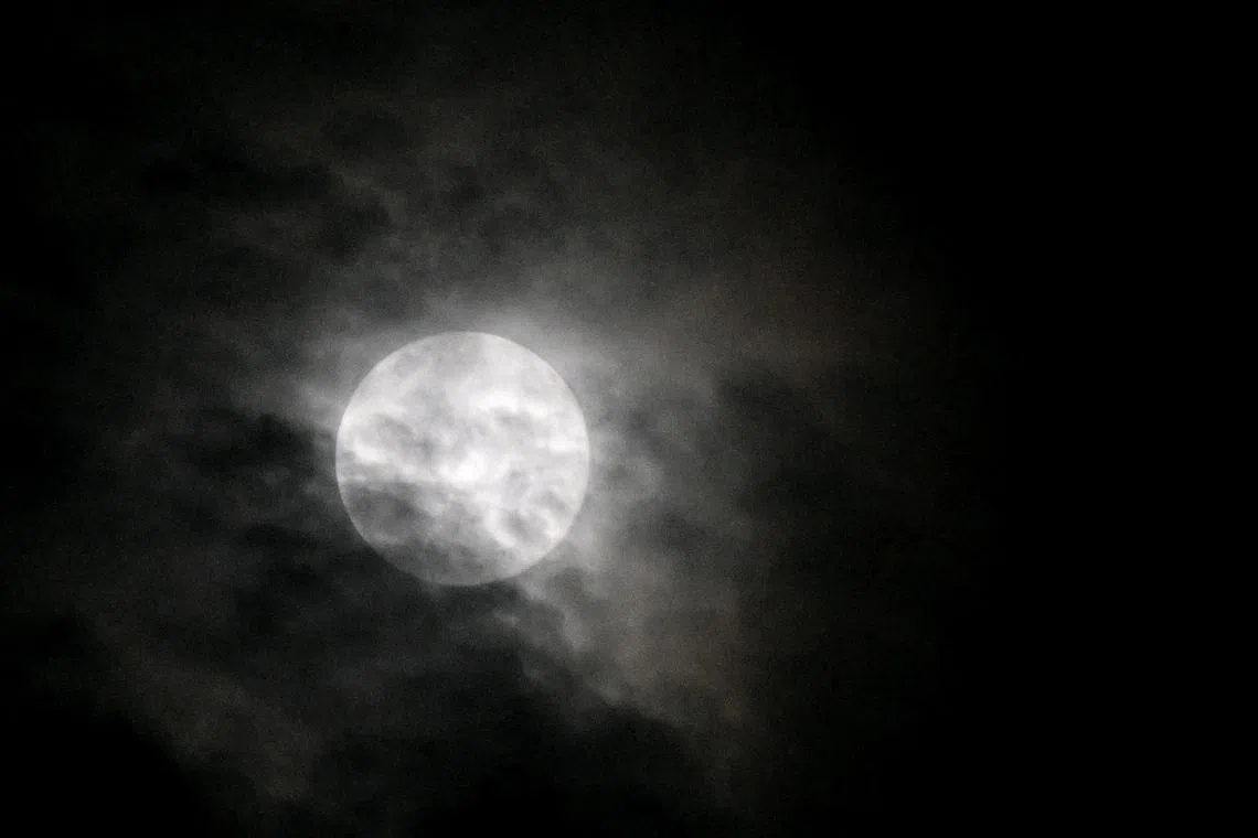 Beaver moon: Skygazers catch last supermoon of 2024 | The Straits Times