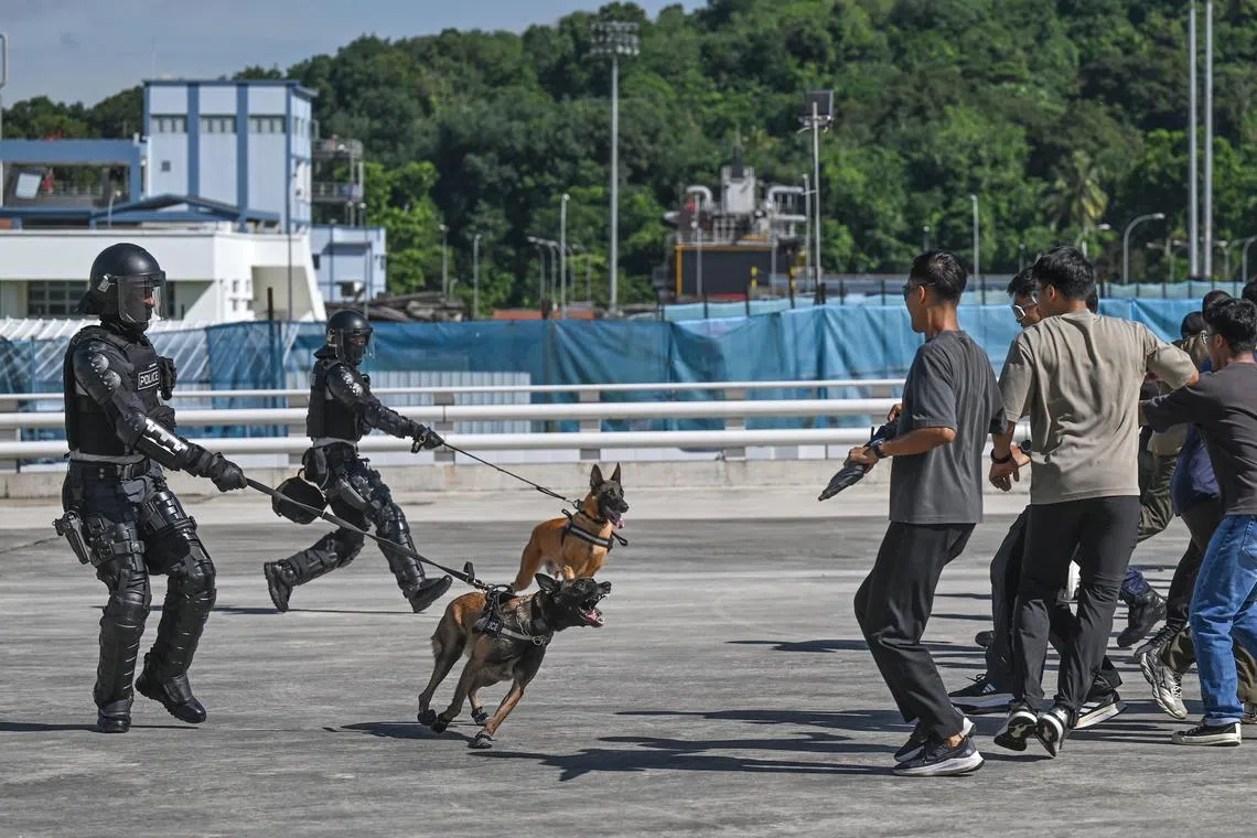 Elite troops on motorbikes, police dogs for public order among tactics ...