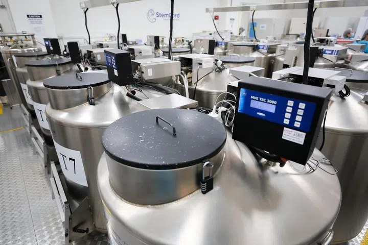 How Singapore cord blood firms ensure safe storage | The Straits Times