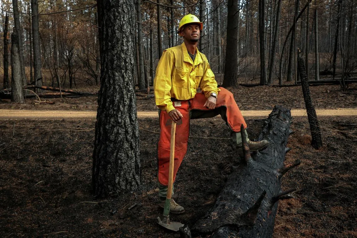 Washington state pioneers program to turn inmates into wildland ...