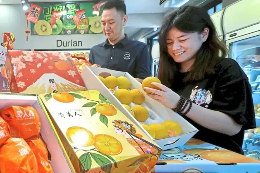 New mandarin orange draws attention in Malaysia for texture and taste ...
