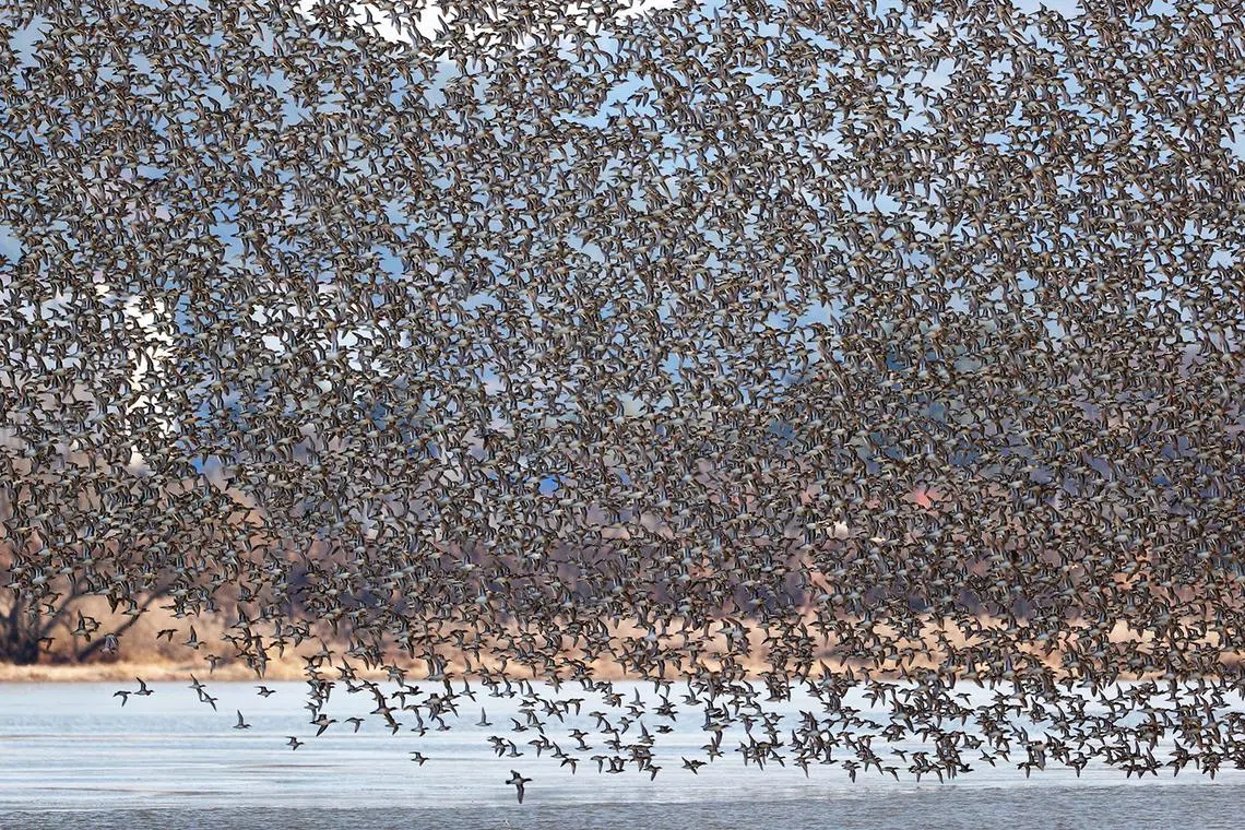 Today in Pictures, Dec 21, 2022 | The Straits Times