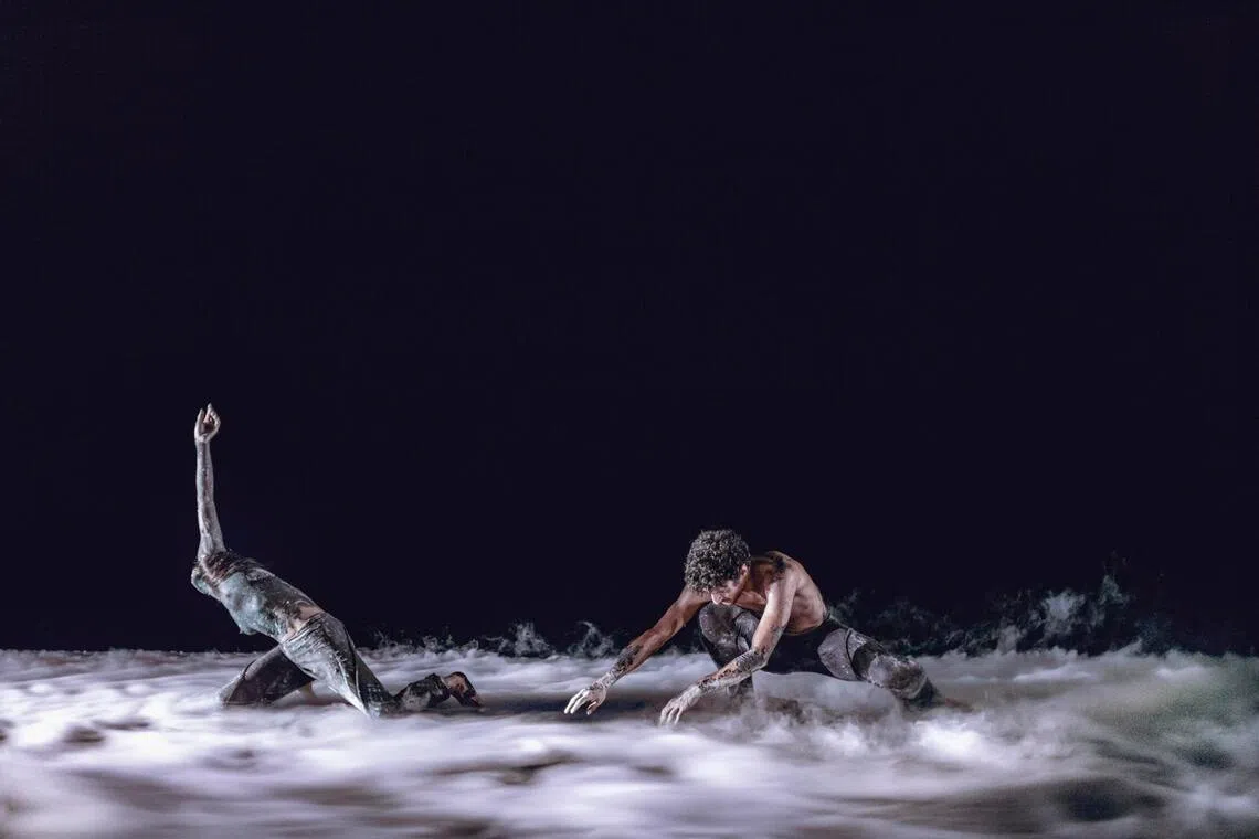 Planet Wanderer: A hypnotic dance and performance art blend | The ...