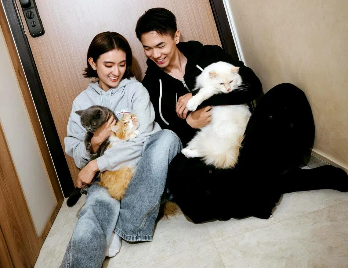 Inside celebrity couple Hong Ling and Nick Teo’s fur family: Cat trio ...