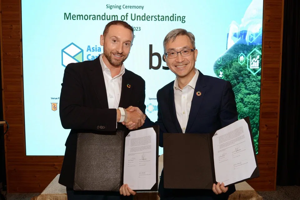 New S’pore-based Asian carbon registry to focus on credits from tech ...