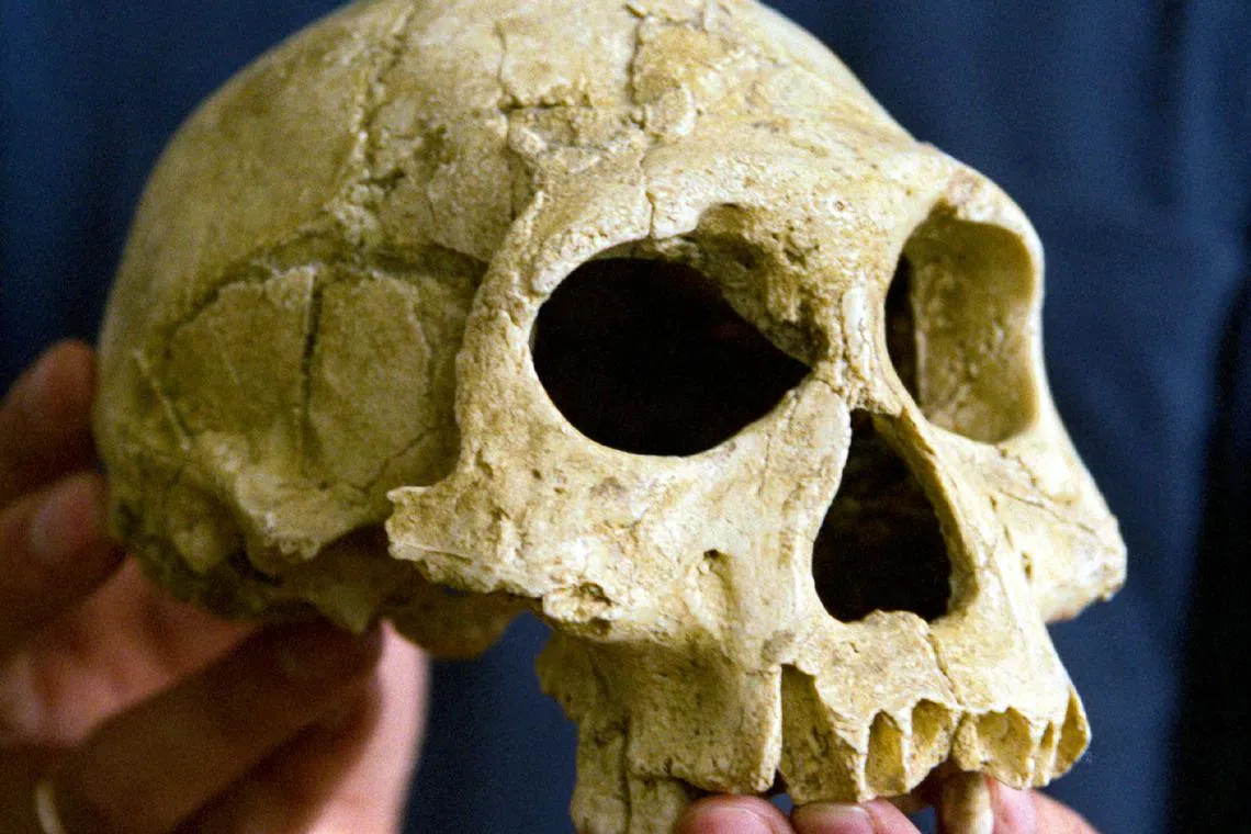 A frigid apocalypse doomed early humans in Europe, study says | The ...