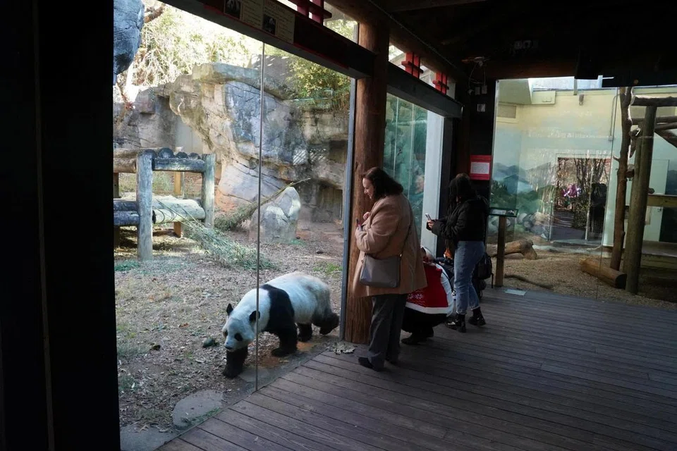 China signals its ‘panda diplomacy’ will resume with US, Europe | The ...