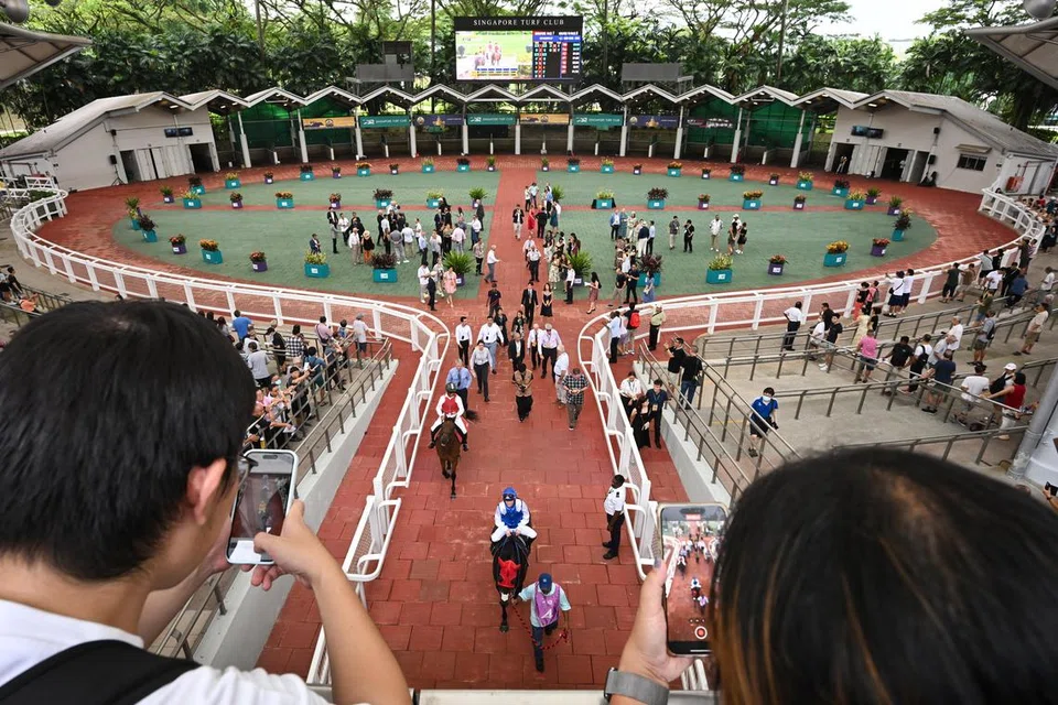 Gone but not forgotten, Lifestyle, Tabla