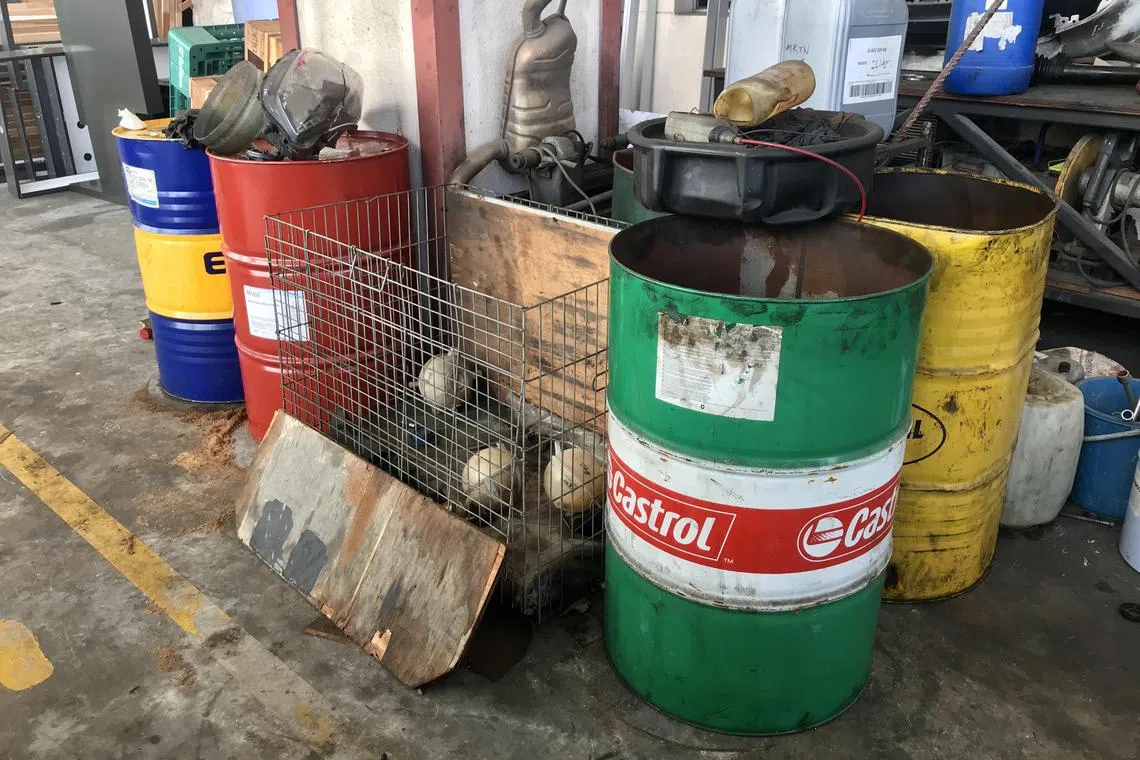 நான்கு வயதுக் குழந்தையைக் கொடூரமாகத் துன்புறுத்தி, இறந்ததும் உடலை ...