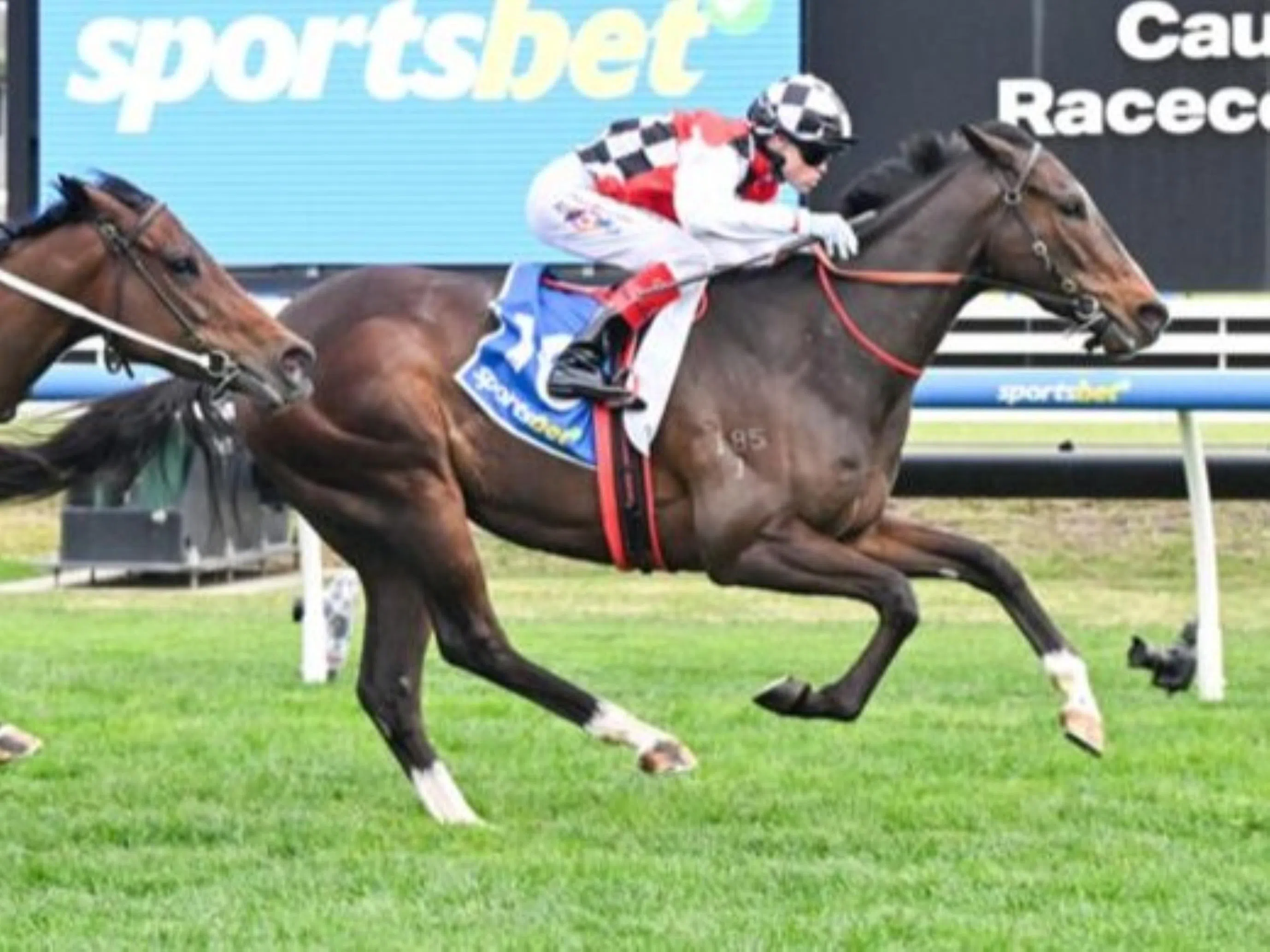 Oct 11 Toorak Handicap form analysis | The New Paper