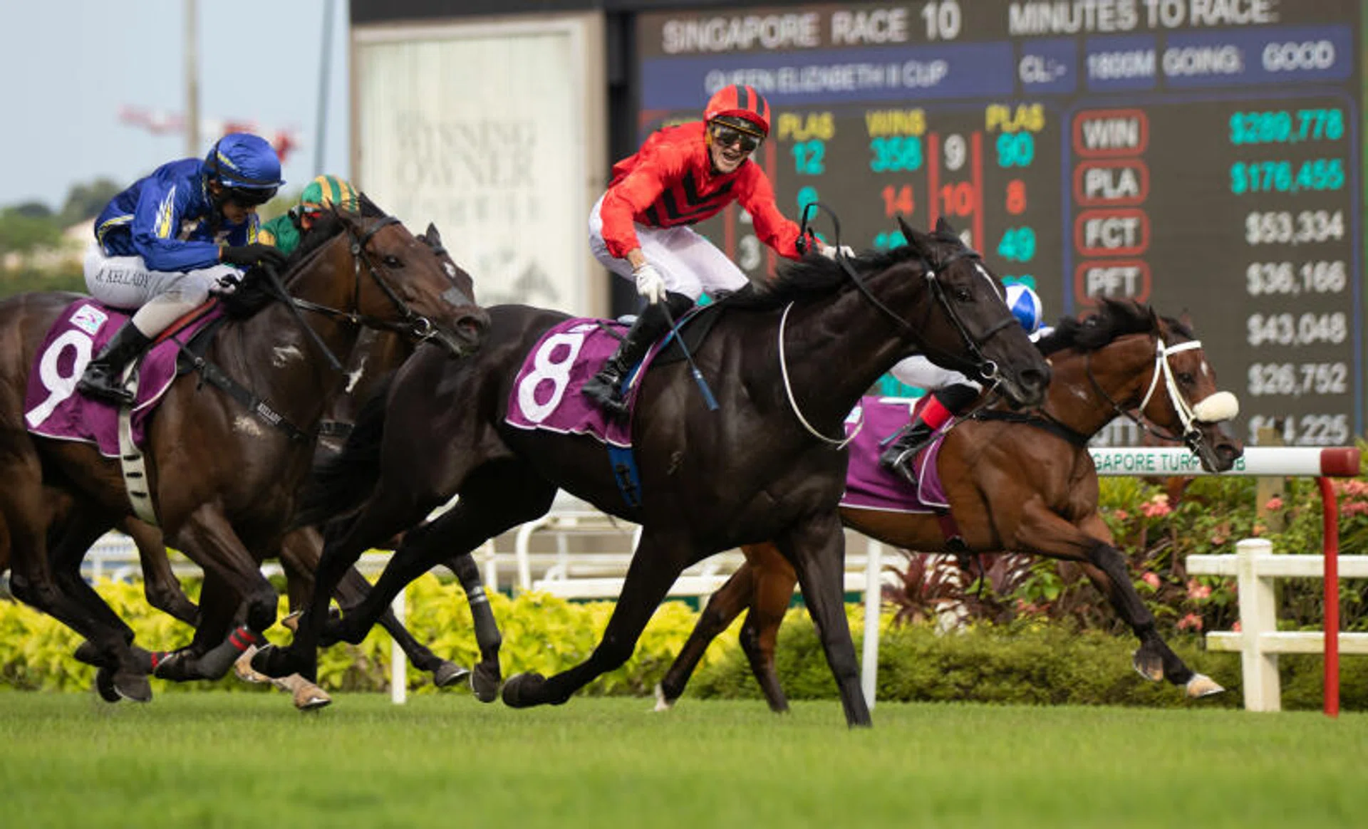 Return to the top in QEII Cup | The New Paper