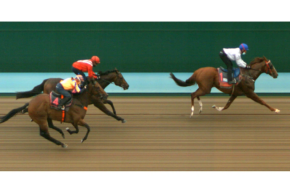 Leatherhead's on the improve | The New Paper