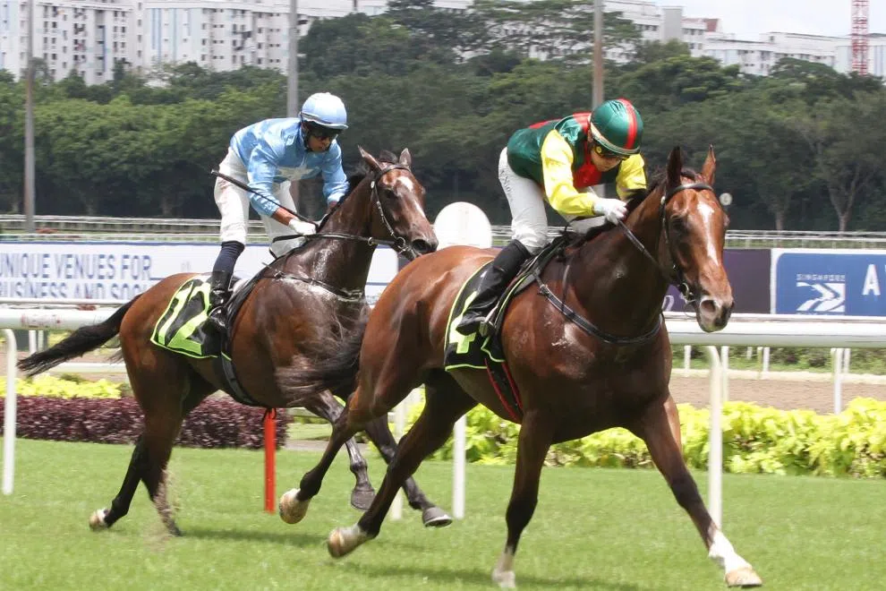 All about chasing the same Dream | The New Paper