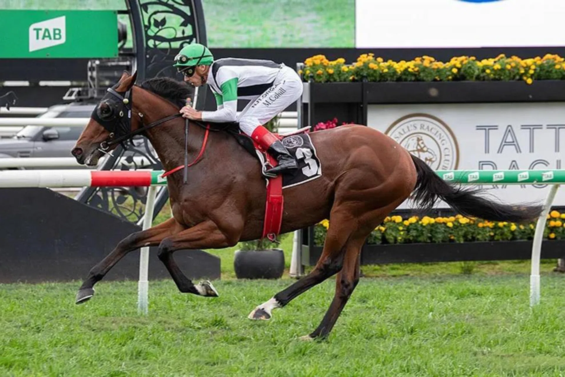 NZ import to beef up Clements'..., Latest Sports News - The New Paper