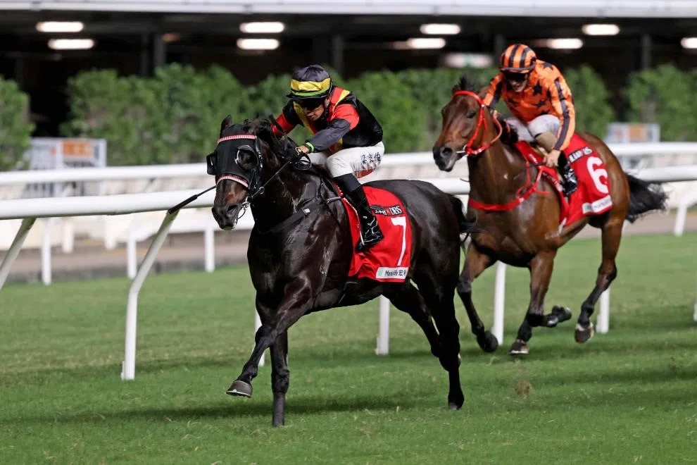 Nimble Nimbus can carry on winning | The New Paper