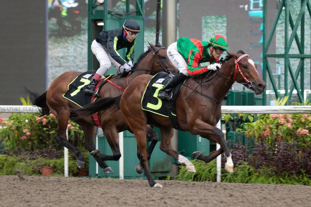 Flying Nemo makes it two from two | The New Paper