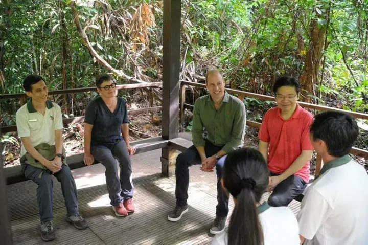 Prince William visits TreeTop Walk in Singapore's largest nature ...