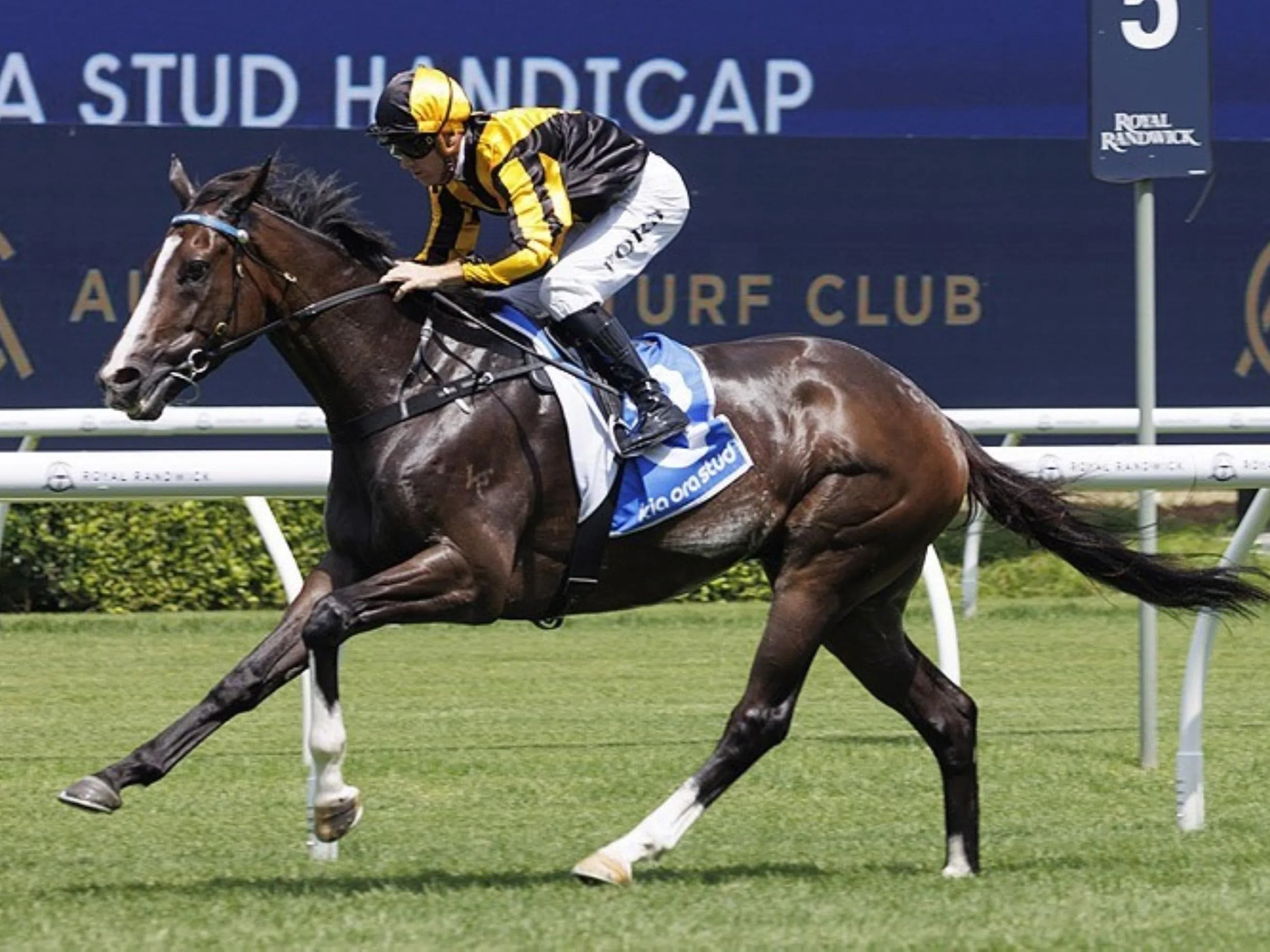 Ford for thought in Sydney Pools race | The New Paper