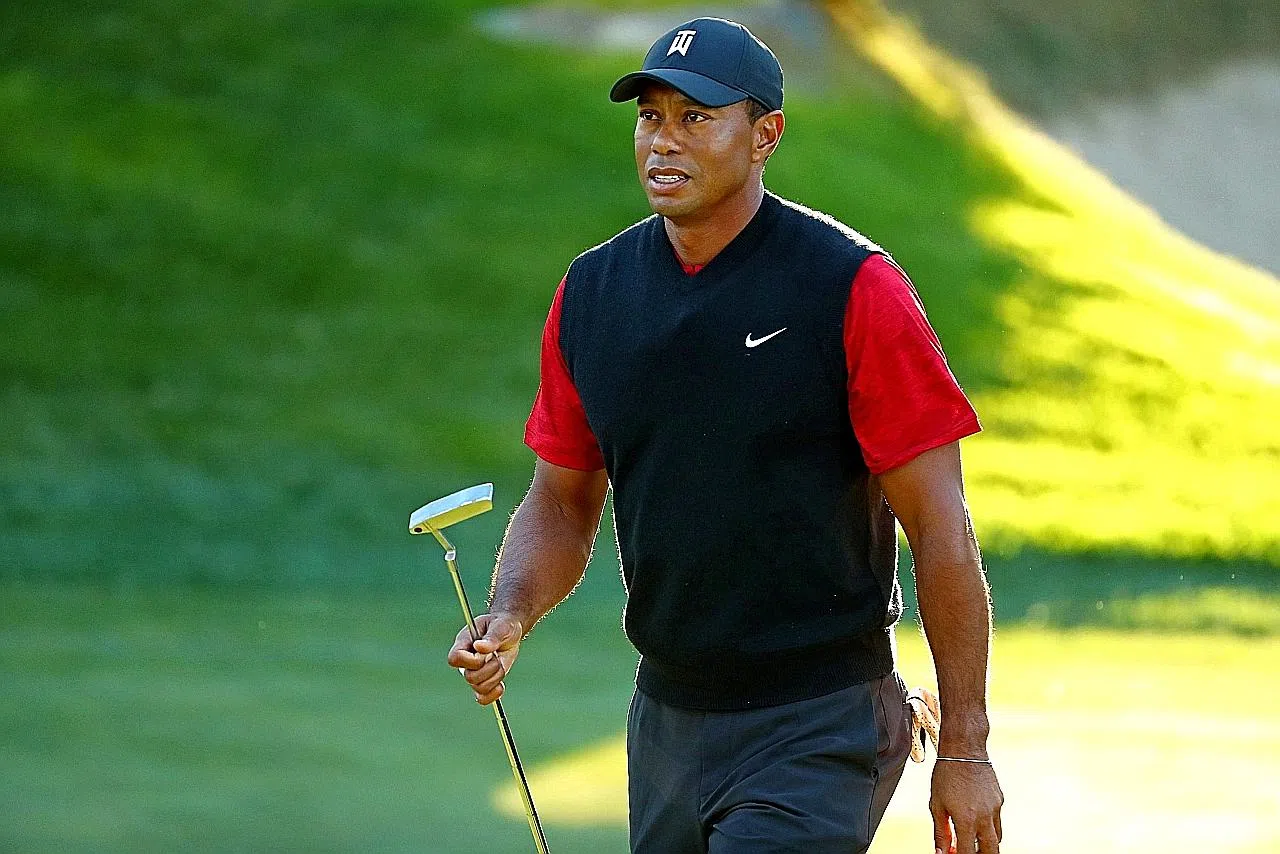 Tiger to tweak schedule for packed 2019 season | The New Paper