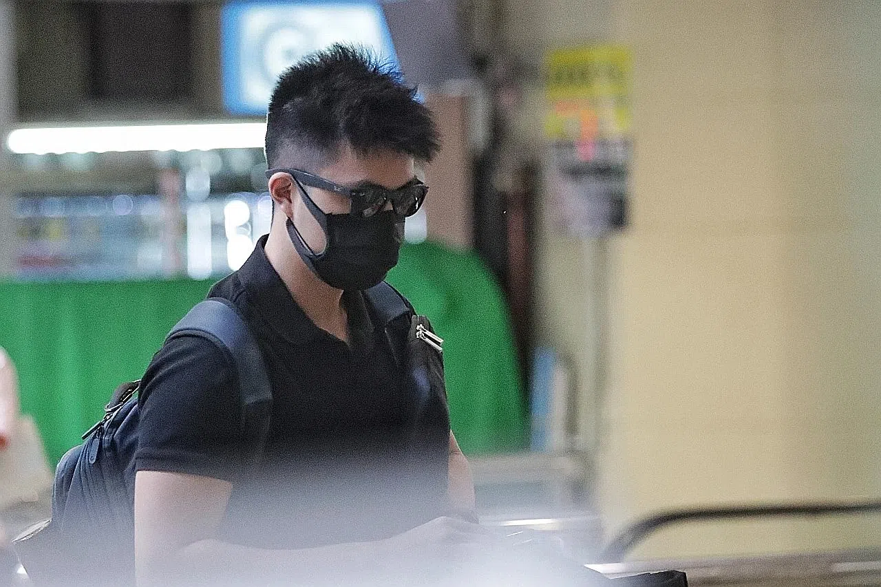 SAF captain in fatal 2018 incident didn't expect Bionix to reverse ...