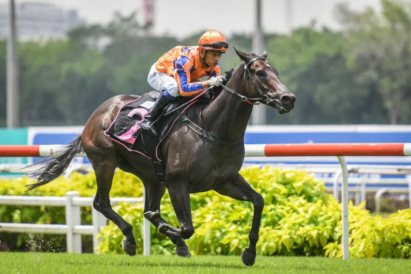 Stenmark on the mark again | The New Paper