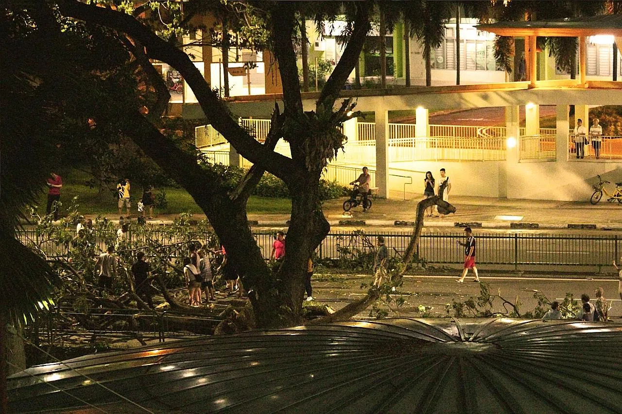 Passers-by band together to remove..., Latest News - The New Paper