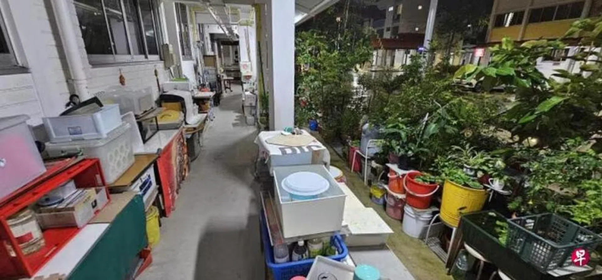 73-year-old accused of blocking corridor with over 100 potted plants ...