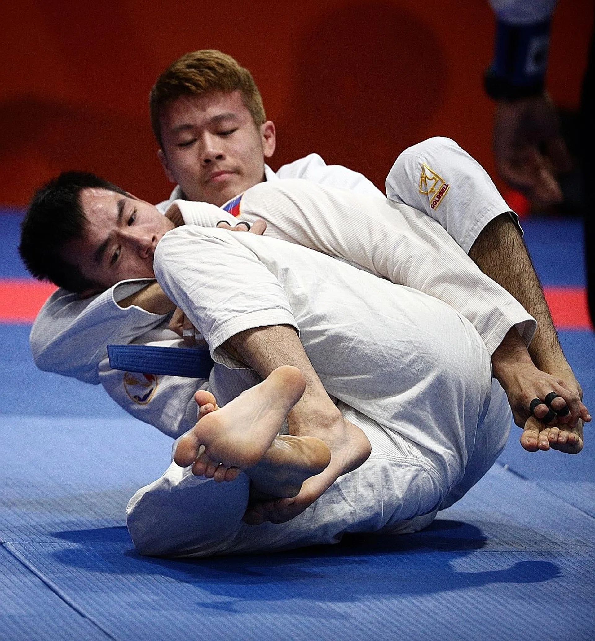 Extensive body grappling allowed to resume in combat sports | The New Paper