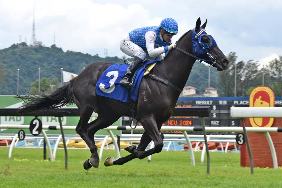 Solid Eighty-Three looks good | The New Paper