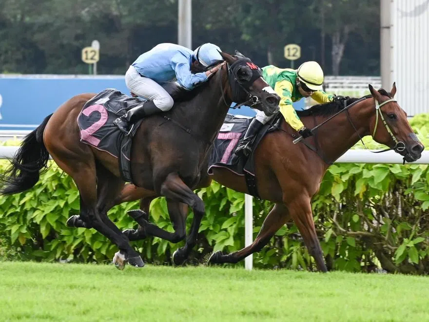 Team Meagher-Lerner riding on crest of a wave | The New Paper