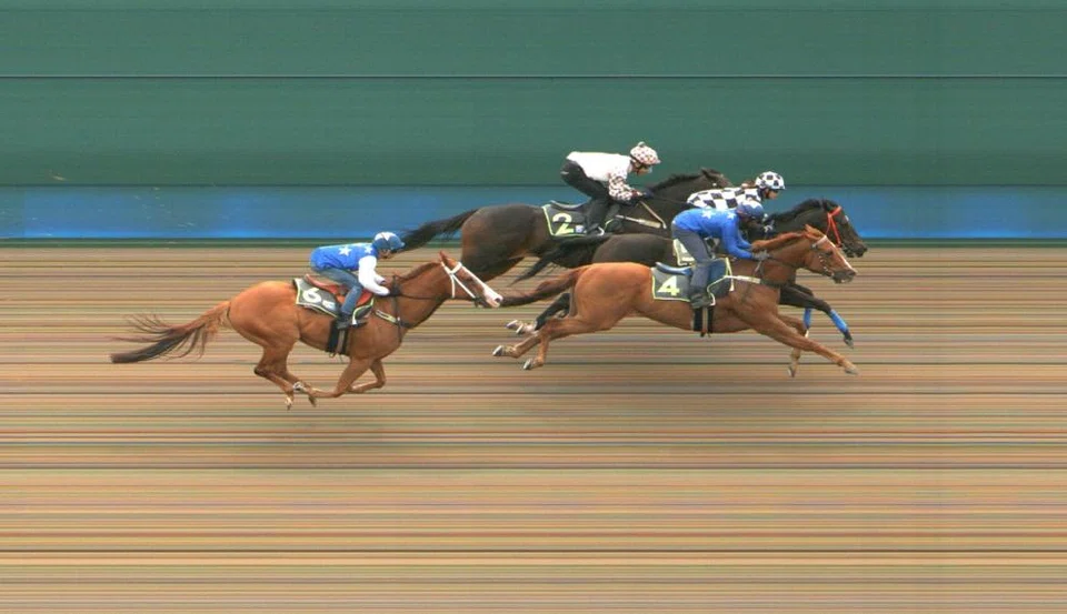 Surpass Natural makes it interesting at the trials | The New Paper