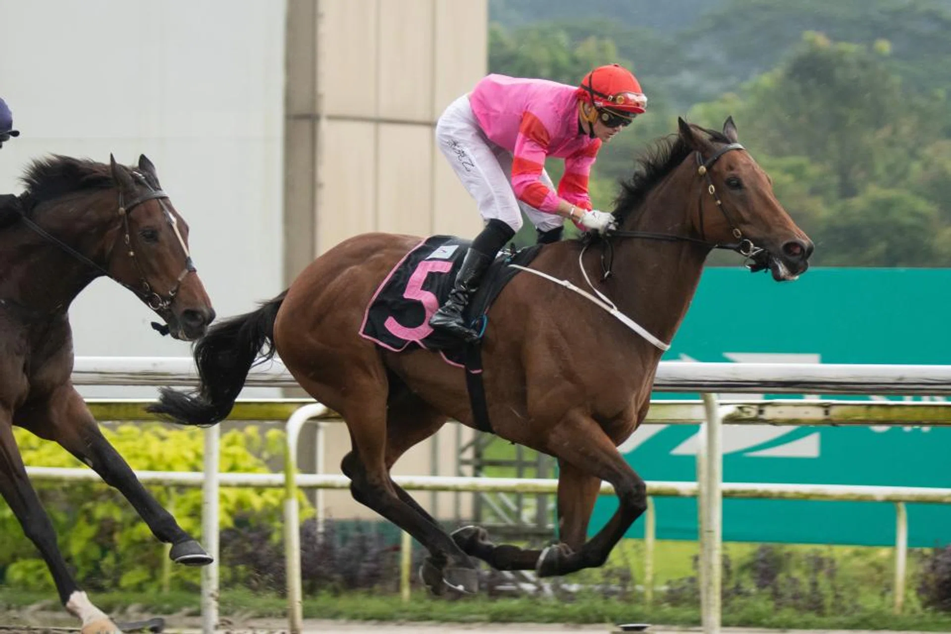 Preditor defies age with surprise win | The New Paper