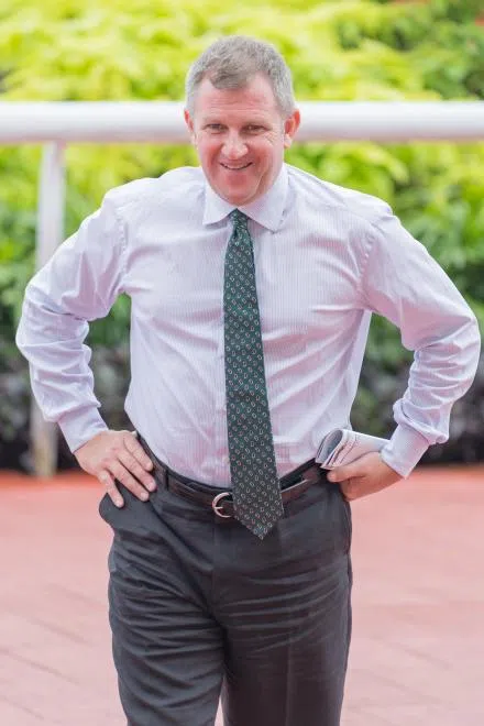 Walker's horses to the fore | The New Paper